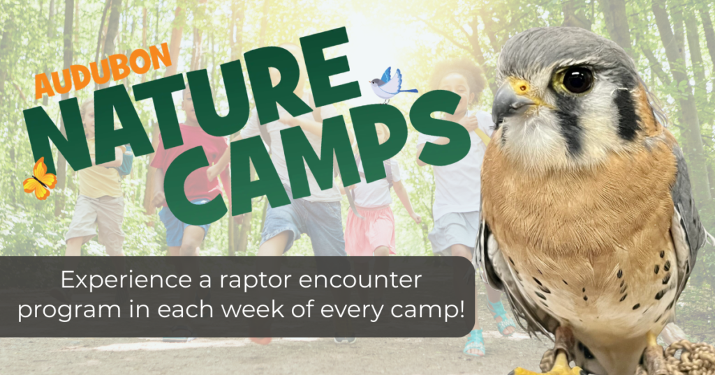 Nature Day Camps - Audubon Society of Western Pennsylvania